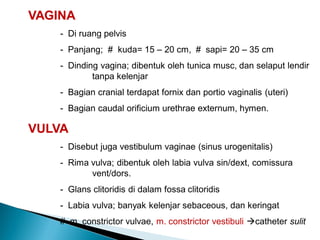 Kuliah 14 sistem reproduksi betina | PDF