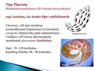 Kuliah 14 sistem reproduksi betina | PDF