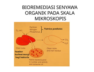 materi kuliah tentang BIOREMEDIASI.pptx