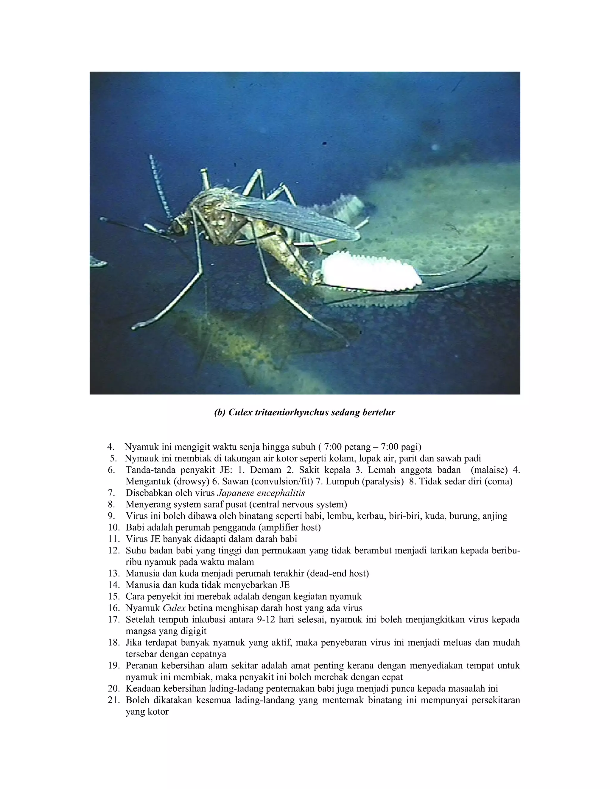 Kuliah 19 Alam Sekitar Dan Je, Meningitis | DOC