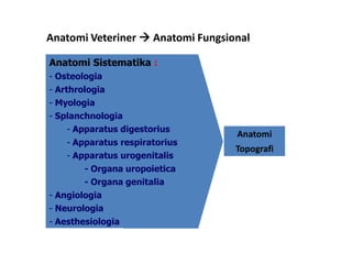 Kuliah 1 dan 2 pendahuluan & 2-osteologi | PDF