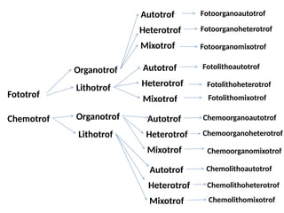 Materi Bakteri dari pendahuluan hingga klasifikasi | PPTX
