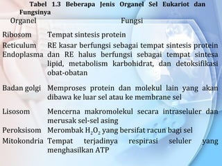 Kuliah 2 organisasi sel (struktur prokariot dan eukariot) | PPT