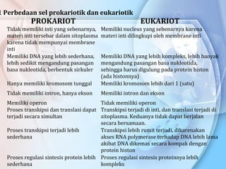 Kuliah 2 organisasi sel (struktur prokariot dan eukariot) | PPT