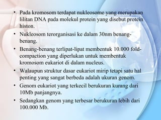 Kuliah 2 organisasi sel (struktur prokariot dan eukariot) | PPT