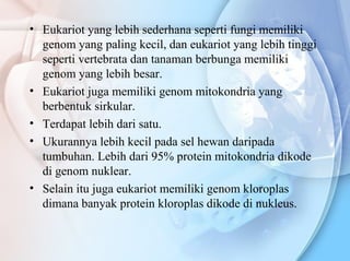 Kuliah 2 organisasi sel (struktur prokariot dan eukariot) | PPT