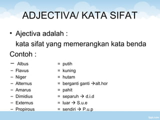 Kuliah 3 bahasa latin | PPT
