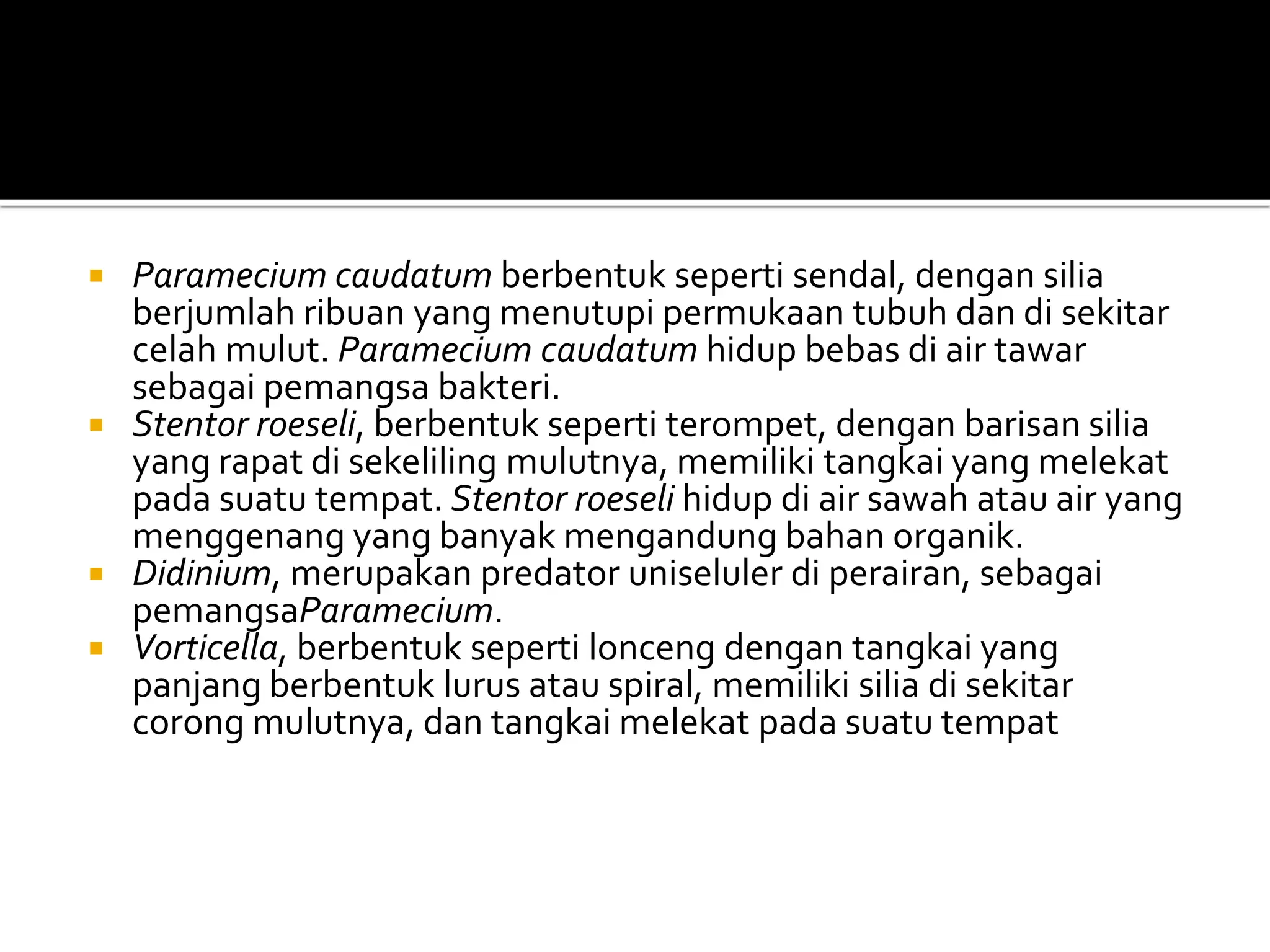 Kuliah 3 Cilliata Protozoa kelas ciliata.pptx