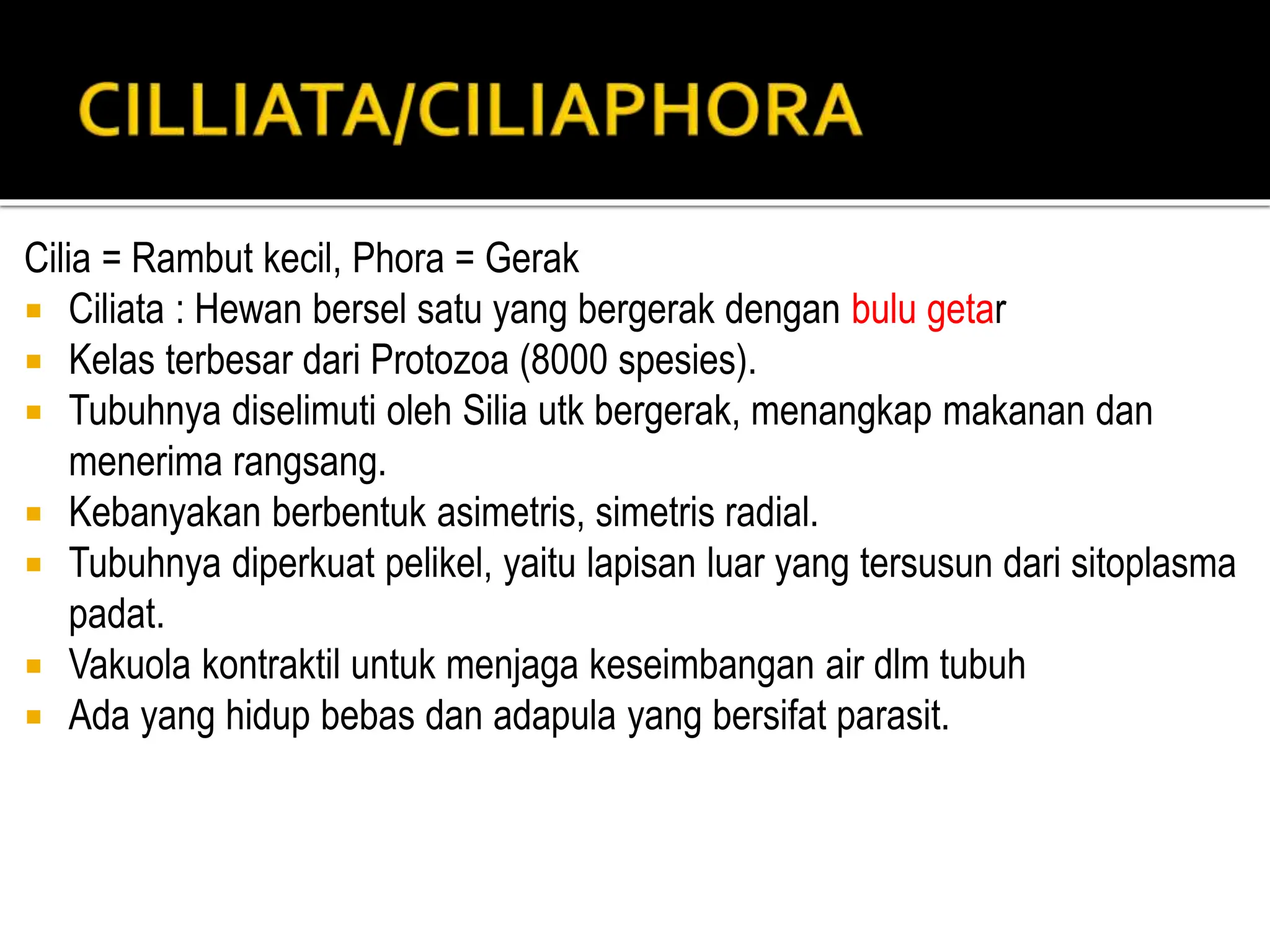 Kuliah 3 Cilliata Protozoa kelas ciliata.pptx