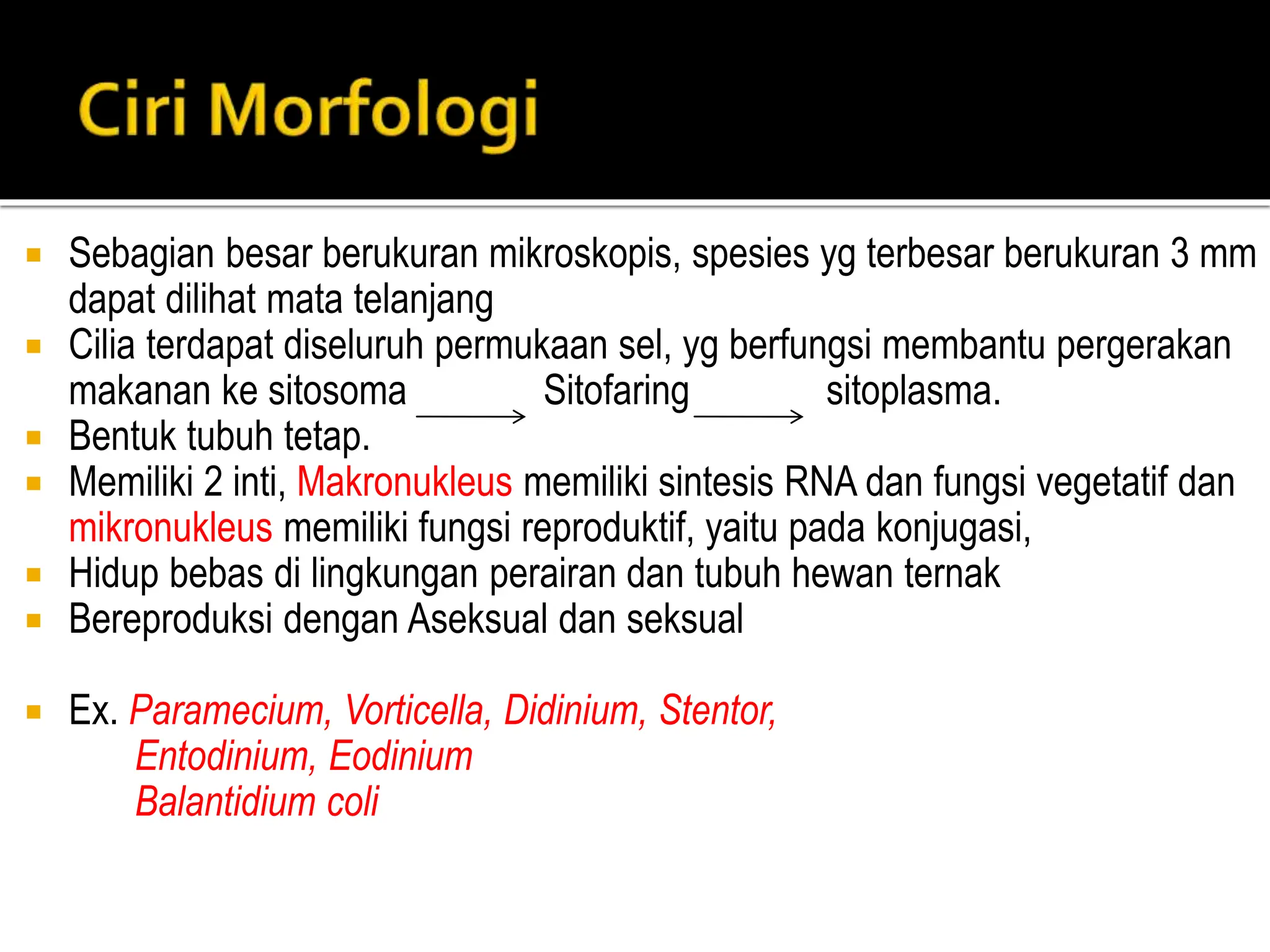 Kuliah 3 Cilliata Protozoa kelas ciliata.pptx