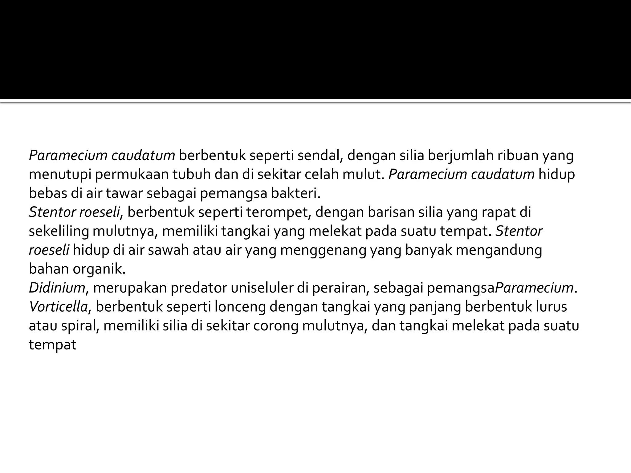 Kuliah 3 Cilliata Protozoa kelas ciliata.pptx