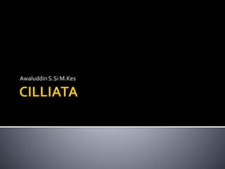 Kuliah 3 Cilliata Protozoa kelas ciliata.pptx