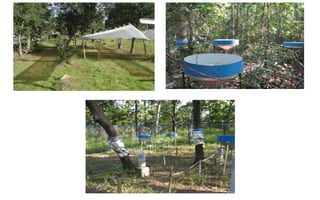 Kuliah 3, Intersepsi.pptx penting diketahui oleh petani | PPTX