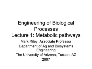Kuliah 3 (Metabolic_pathways).ppt