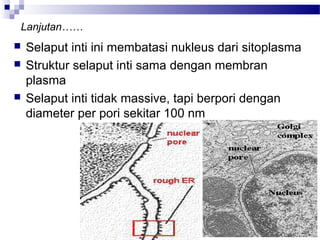 Kuliah 3 struktur dan fungsi sel | PPT