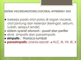 Kuliah 4. neuroanatomi | PDF