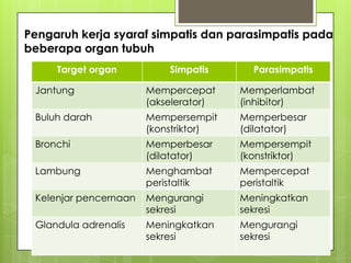 Kuliah 4. neuroanatomi | PDF