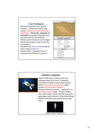 Kuliah 4 crustacea chepalocarina-ostracoda [compatibility mode] | PDF
