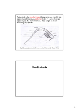 Kuliah 4 crustacea chepalocarina-ostracoda [compatibility mode] | PDF