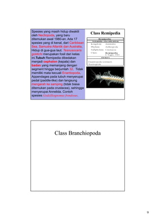Kuliah 4 crustacea chepalocarina-ostracoda [compatibility mode] | PDF