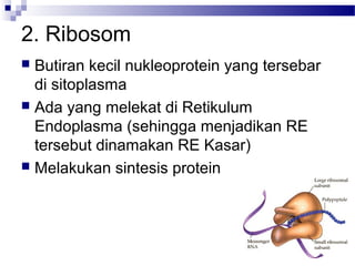 Kuliah 4 struktur dan fungsi sel (organel) | PPT