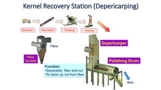 Kuliah 5 Teknologi Pengolahan Sawit (Oil Palm Technology).pdf