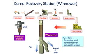Kuliah 5 Teknologi Pengolahan Sawit (Oil Palm Technology).pdf