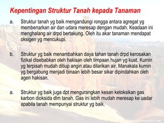 Kuliah 5 faktor tanah yang mempengaruhi pertumbuhan dan hasil tumbuhan ...