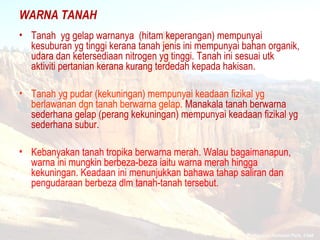 Kuliah 5 faktor tanah yang mempengaruhi pertumbuhan dan hasil tumbuhan ...
