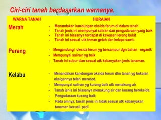 Kuliah 5 faktor tanah yang mempengaruhi pertumbuhan dan hasil tumbuhan ...