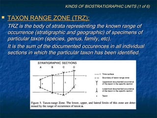 Kuliah 6 unit biostratigrafi | PPT