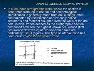 Kuliah 6 unit biostratigrafi | PPT