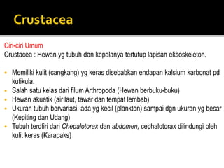 Kuliah 7 Crustacea udang kepiting dan .pptx