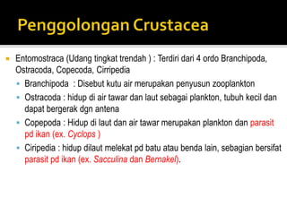 Kuliah 7 Crustacea udang kepiting dan .pptx