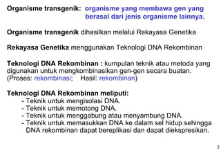 Kuliah 7 teknologi dna rekombinan | PDF