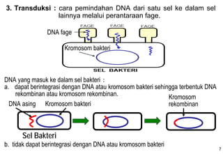 Kuliah 7 teknologi dna rekombinan | PDF