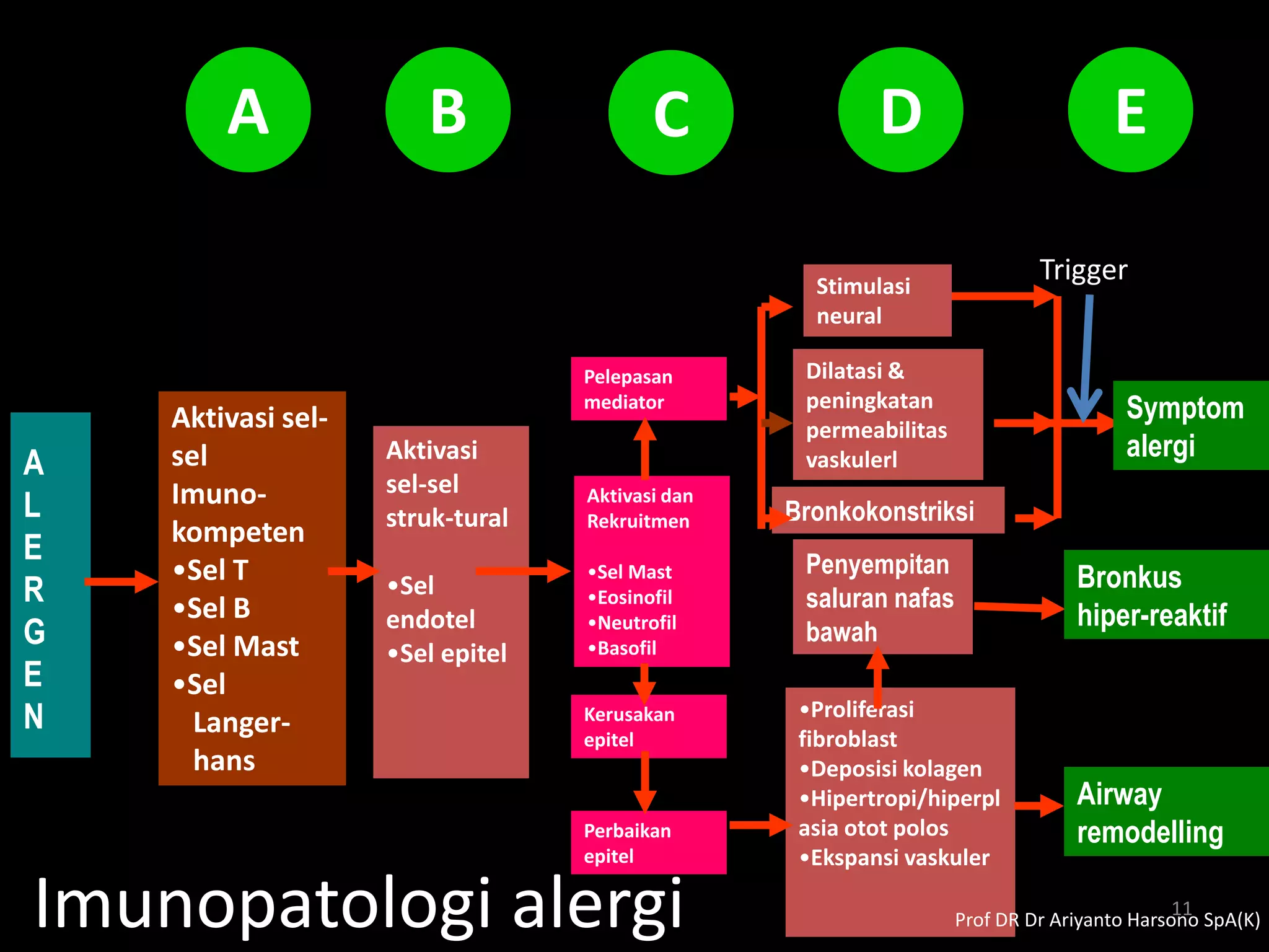 Kuliah alergi makanan | PPTX