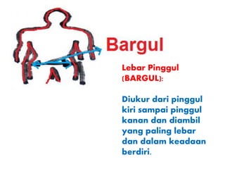 Kuliah anthropometri | PDF