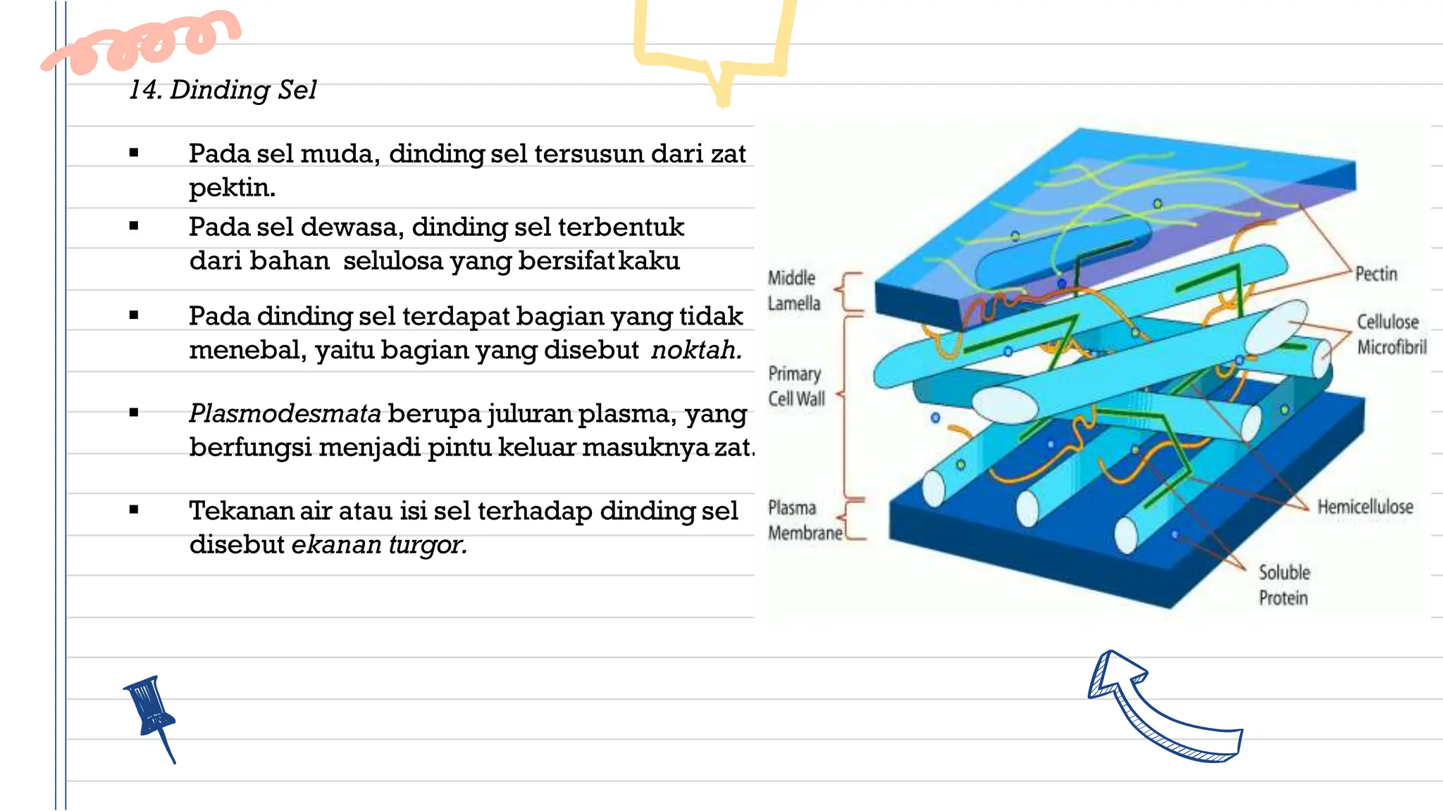 Kuliah Biokimia 1-2 D3 Farmasi dan Biologi.pptx