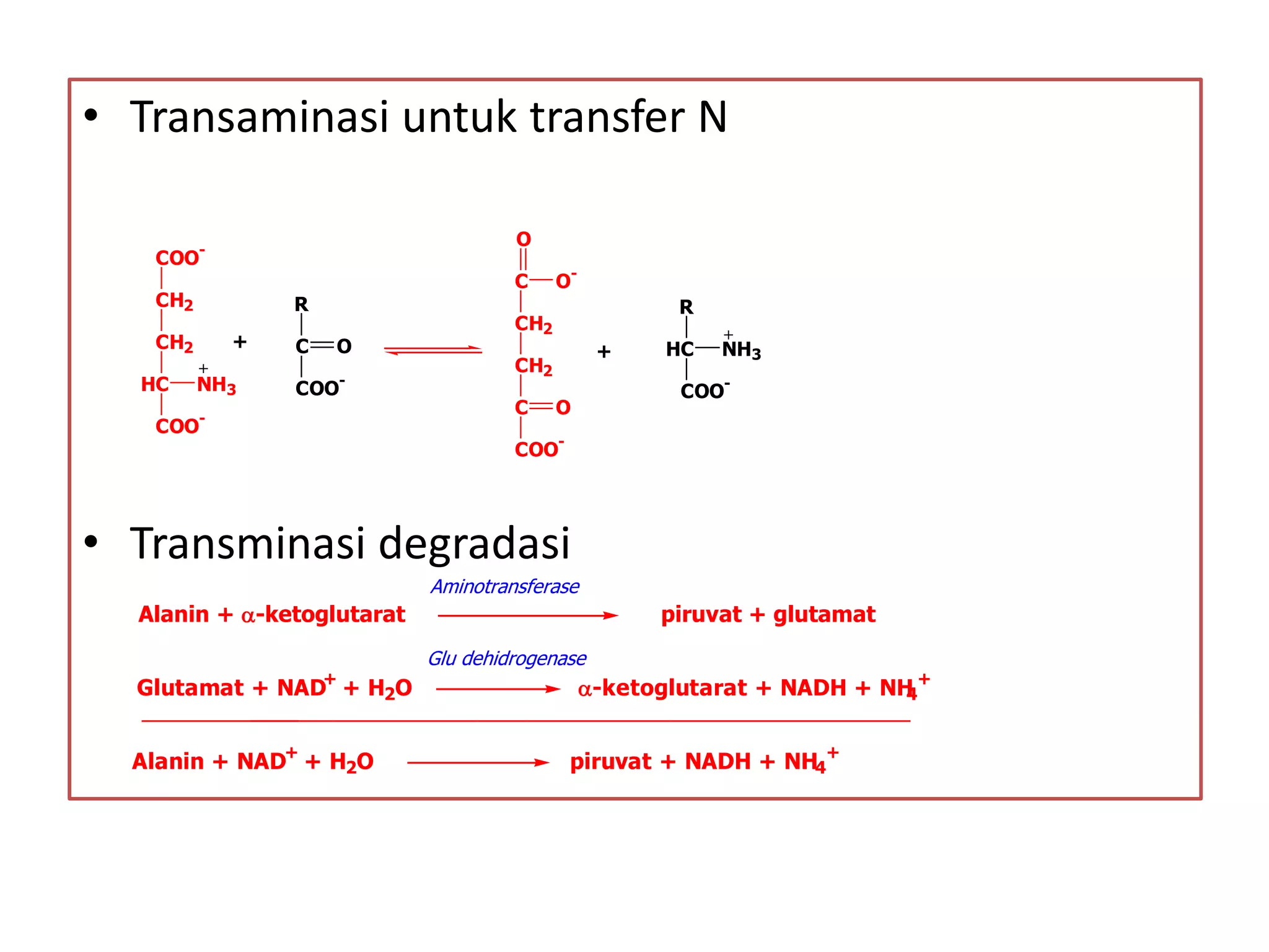 Kuliah biokimia 1 siklus nitrogen | PPTX