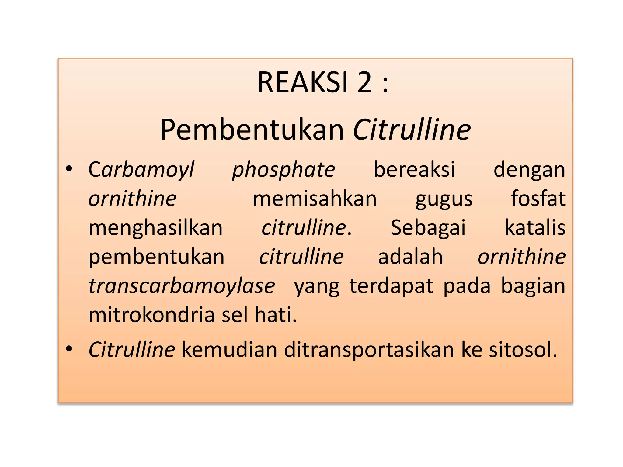 Kuliah biokimia 1 siklus nitrogen | PPTX