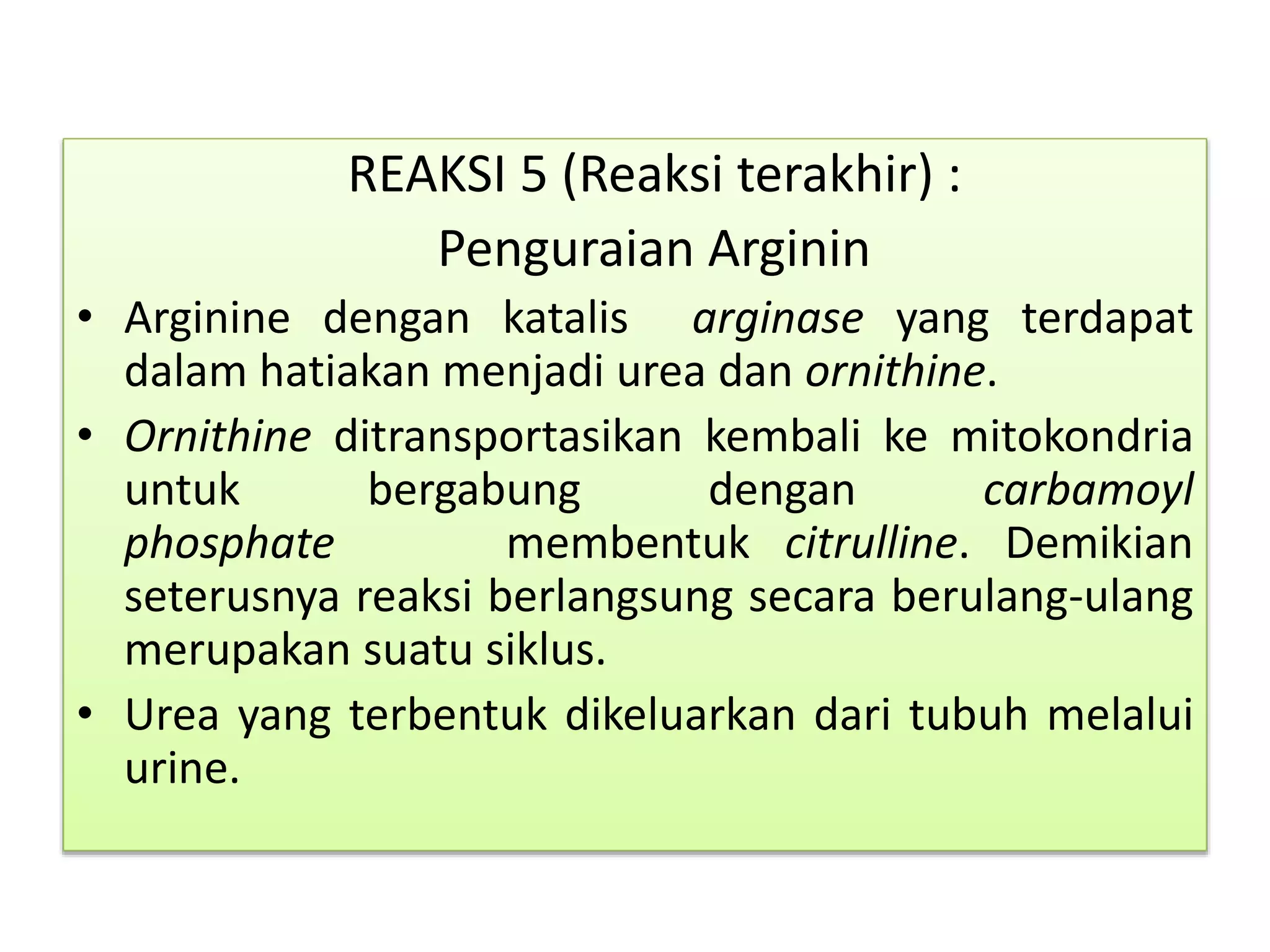 Kuliah biokimia 1 siklus nitrogen | PPTX