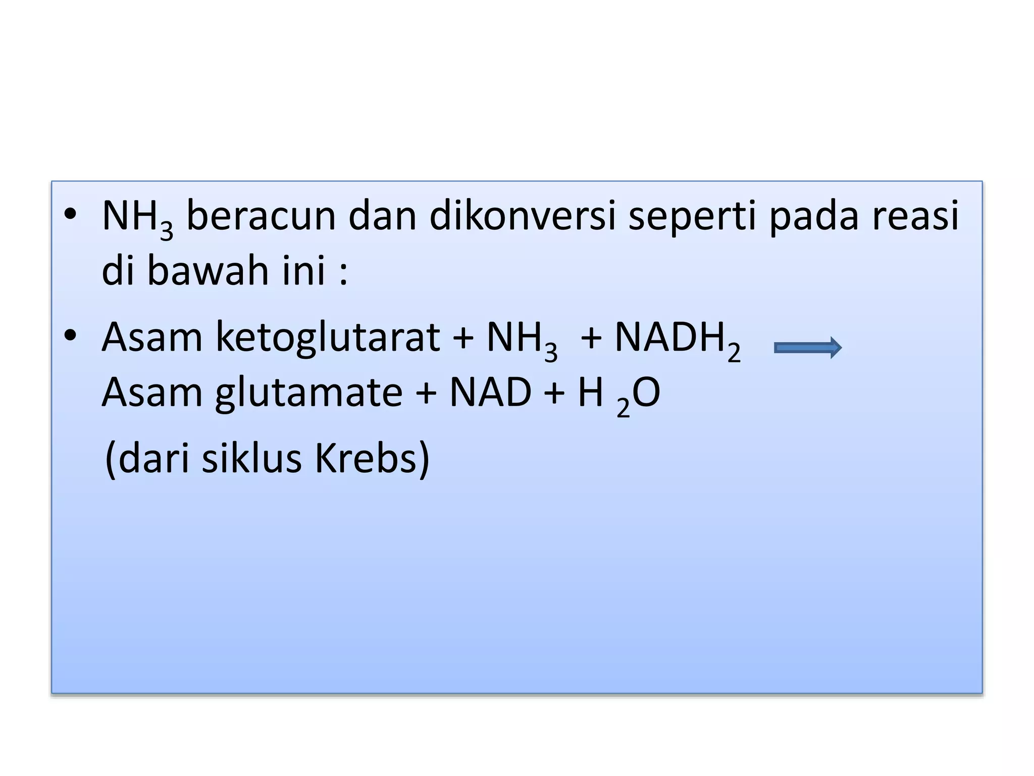 Kuliah biokimia 1 siklus nitrogen | PPTX