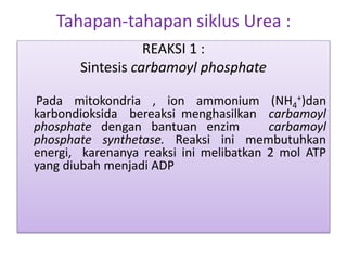 Kuliah biokimia 1 siklus nitrogen | PPTX