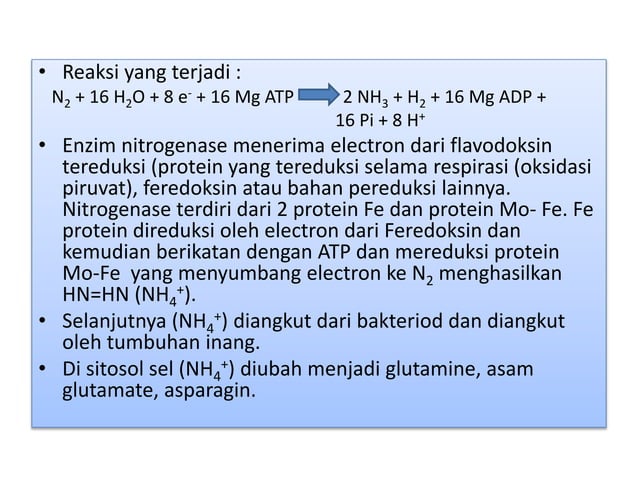 Kuliah biokimia 1 siklus nitrogen | PPTX