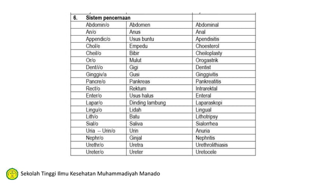 Spesialite dan Terminologi Kesehatan | PPTX