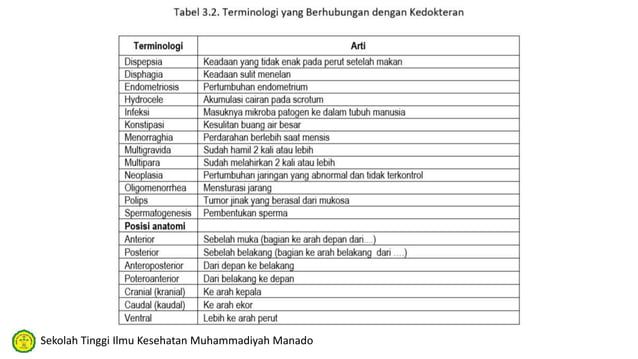 Spesialite dan Terminologi Kesehatan | PPTX