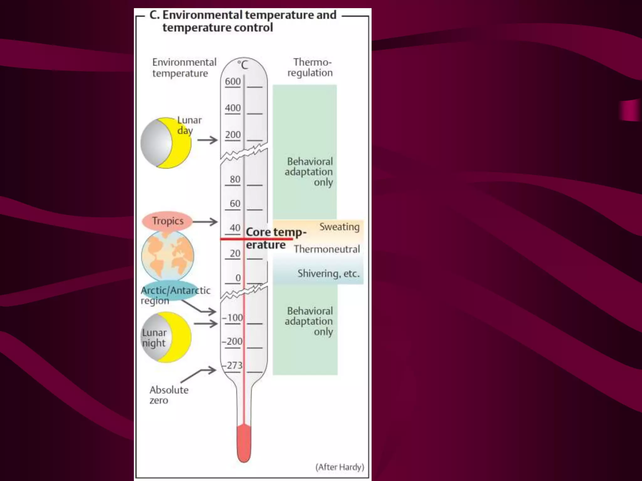 Patofisiologi Demam | PPTX