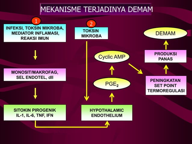 Patofisiologi Demam | PPTX