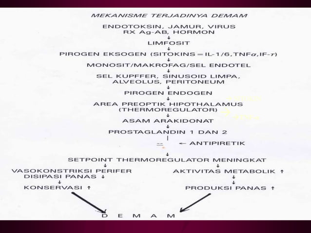 Patofisiologi Demam | PPTX